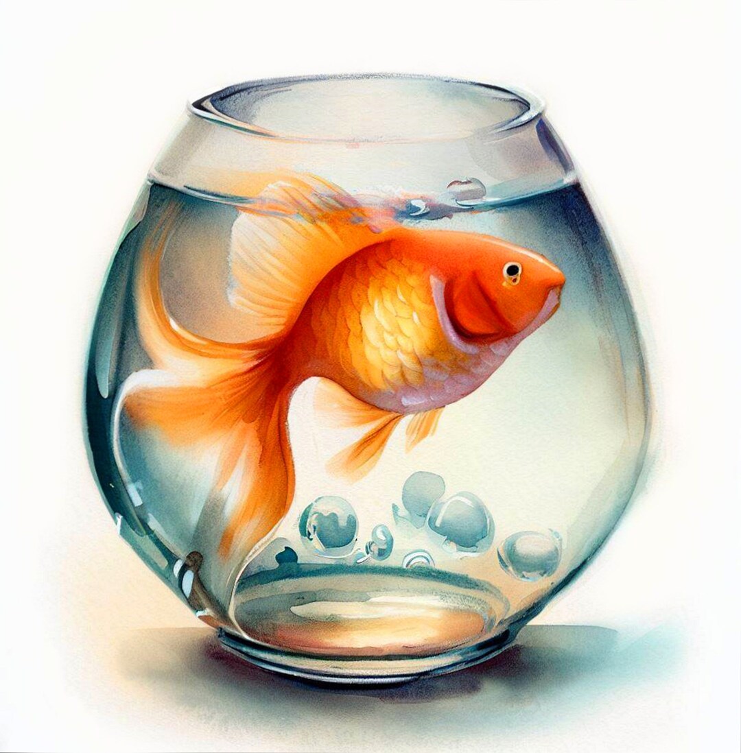 Goldfish Art Print Fish Fine Art Animal Artwork Goldfish Watercolor ...