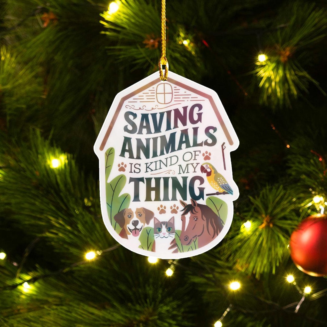 Veterinary Appreciation Ornament, Cute Paws Decoration Gift for Vet ...