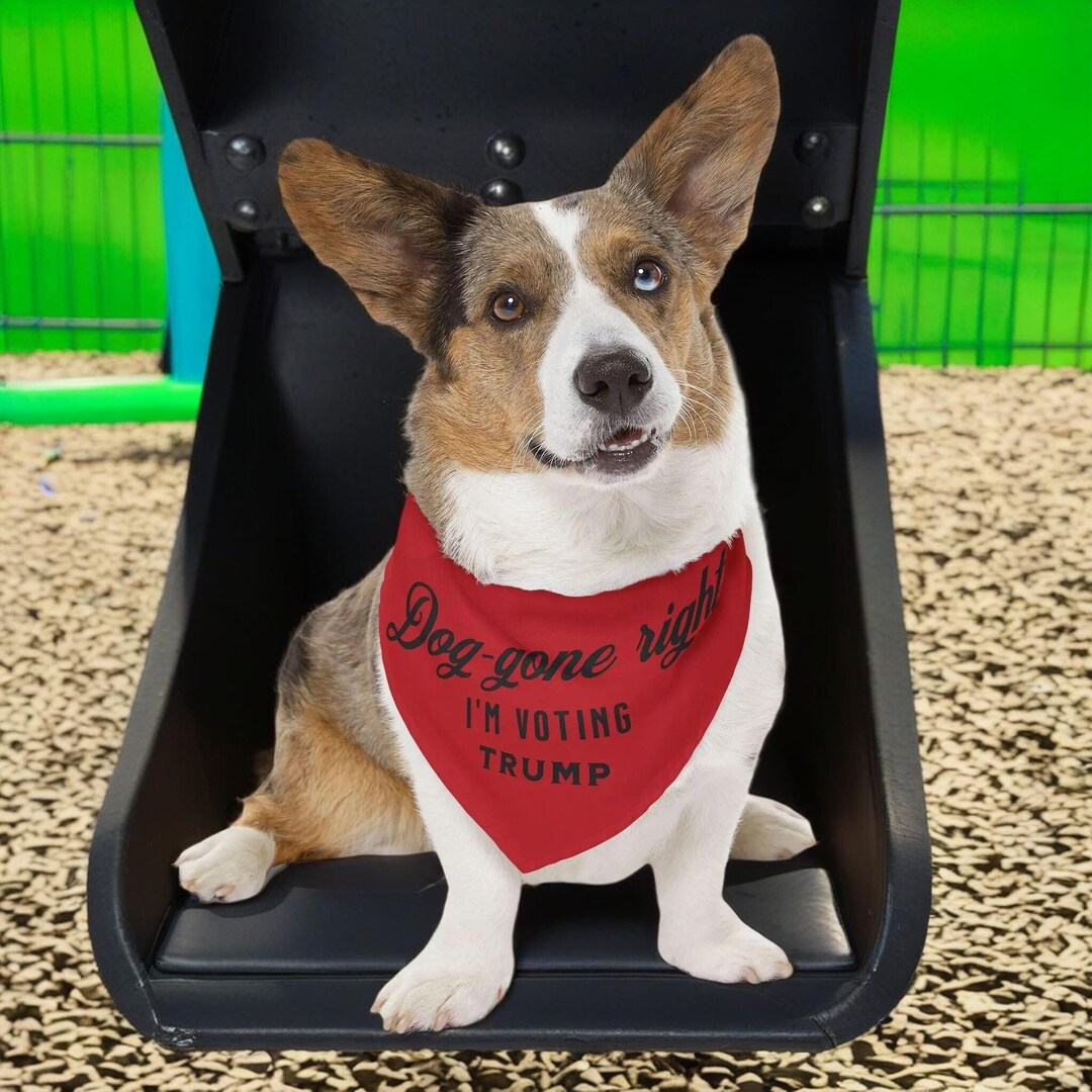 Dogs for Trump 2024, Trump Dog Collar With Bandana, Make Dogs Safe ...