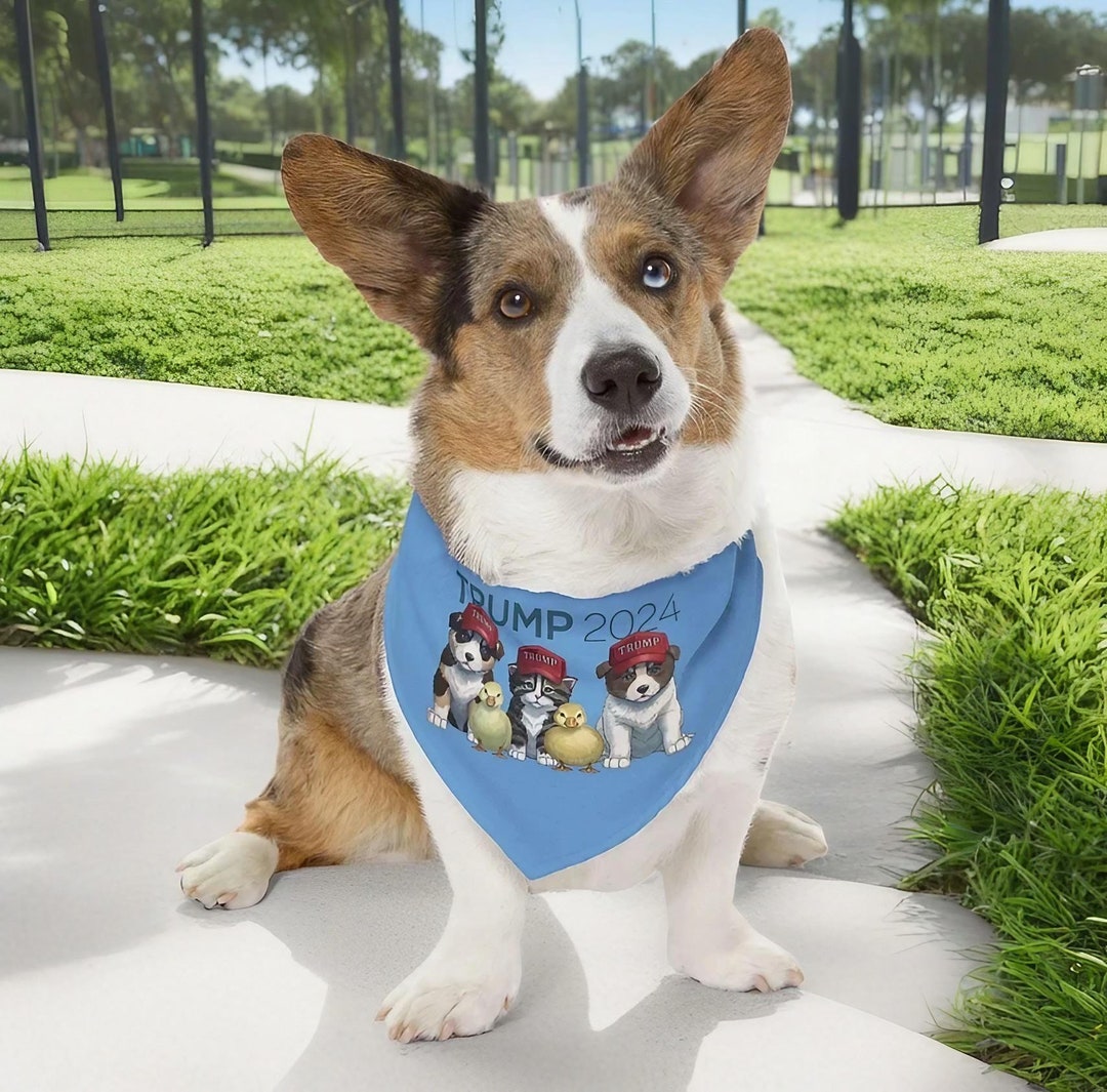 Trump Dog Collar With Bandana, Make Dogs Safe Again, Pets for Trump ...