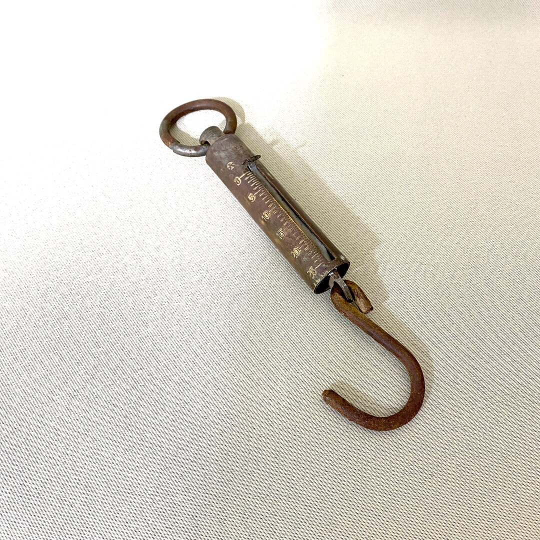 Handheld Brass Scale | Vintage Fish Scale | Brass Spring Scale ...