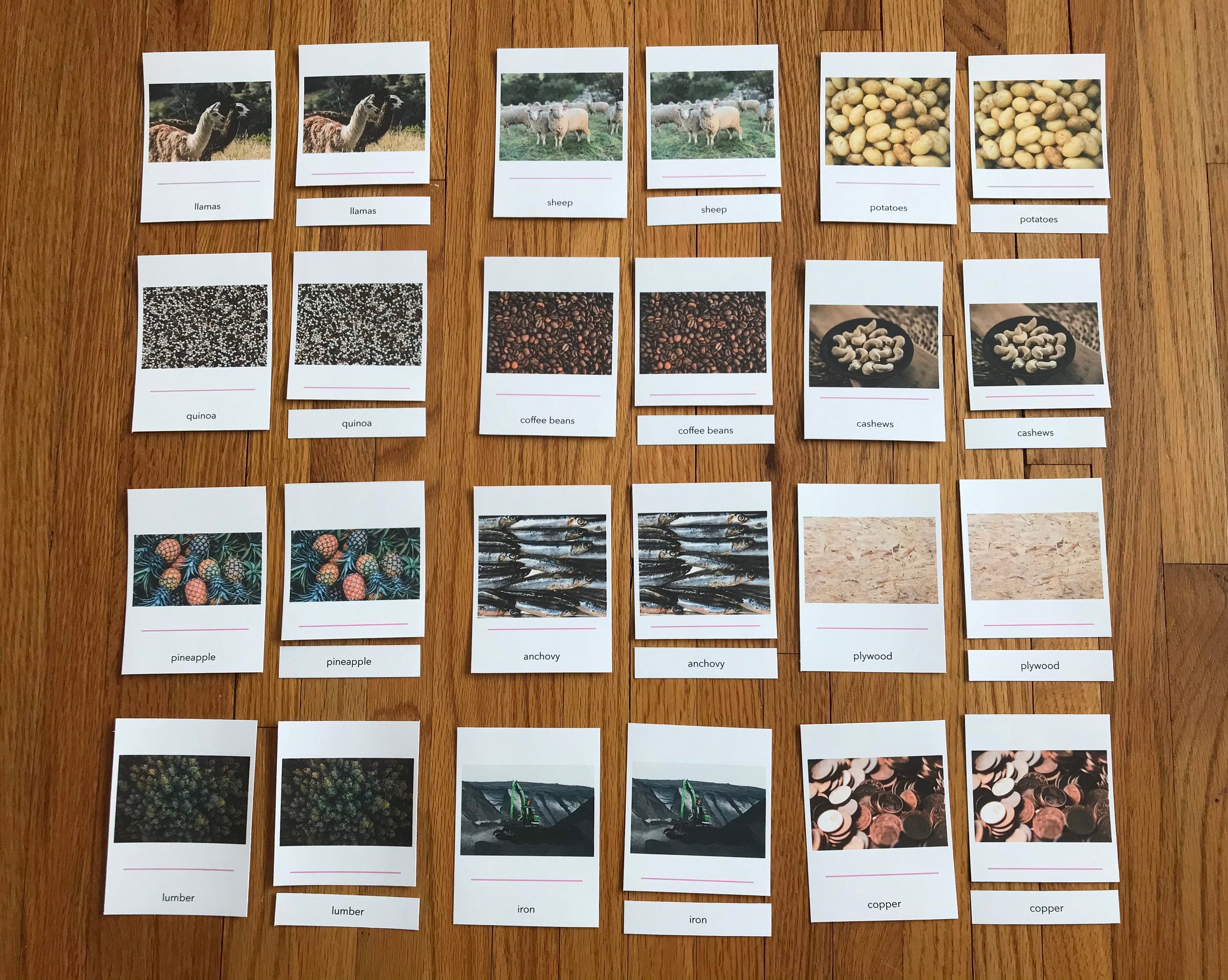 South America Three-part Commodity Cards - Etsy New Zealand