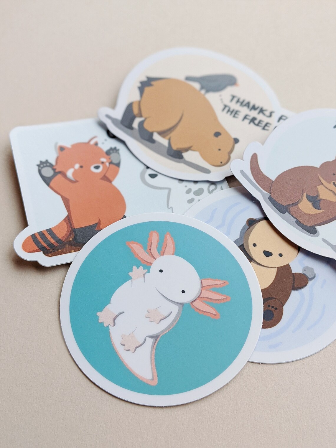 Tier Sticker Set/Pack / Axolotl, Otter, Capybara, Quokka, Roter Panda ...