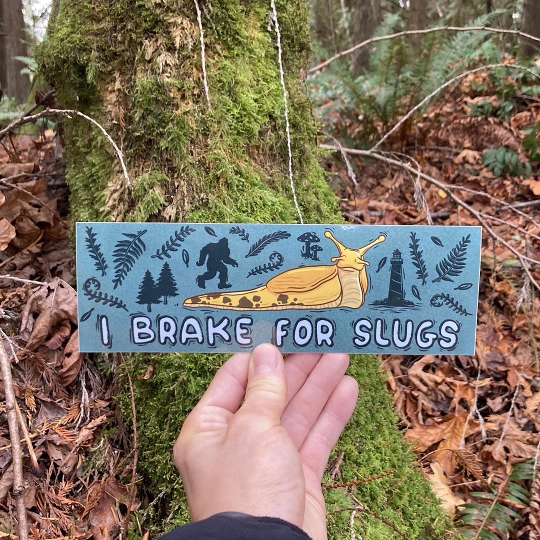 I Brake for Banana Slugs Bumper Sticker - Etsy