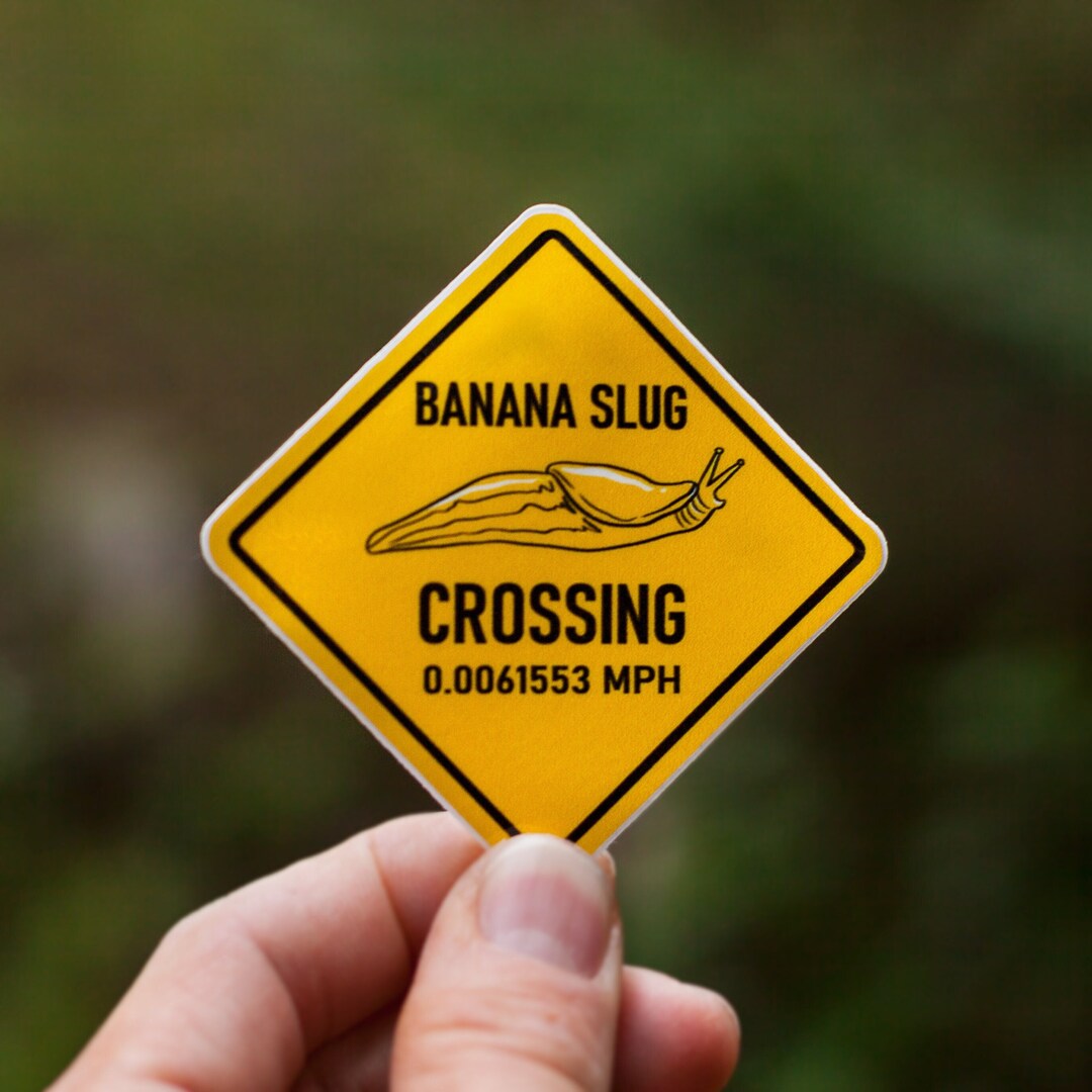 Brake for Banana Slugs Crossing Sticker - Etsy