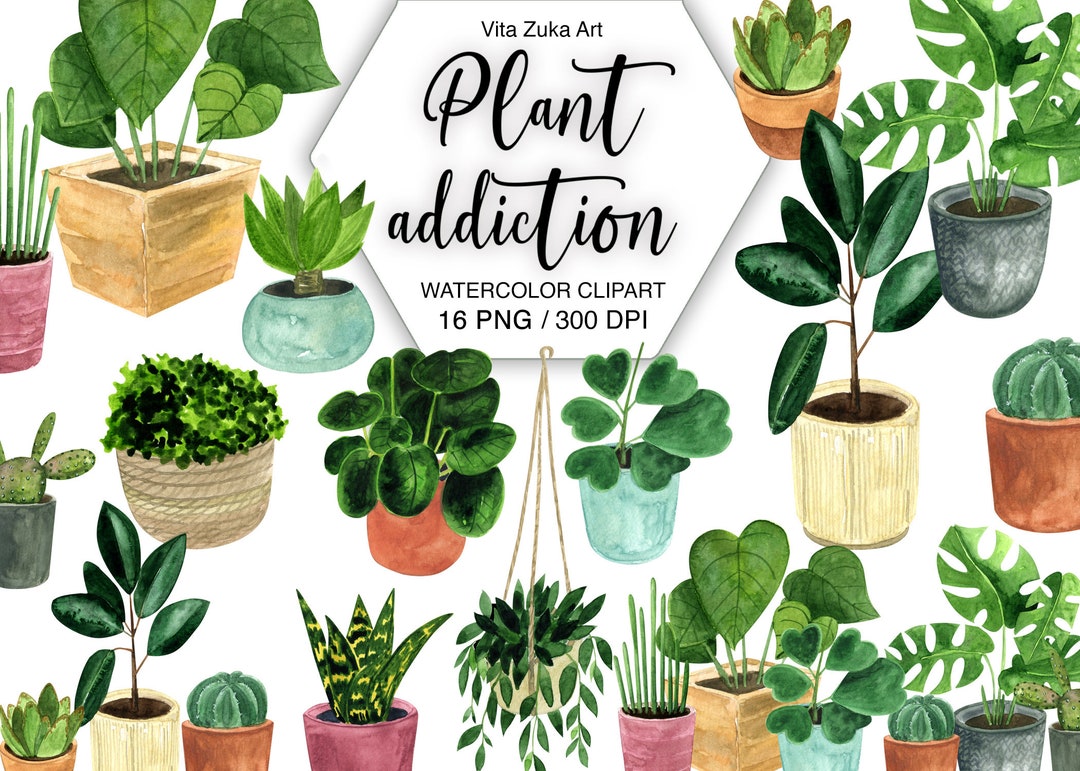 Cozy Home Decor Clipart - Watercolor Houseplants, Indoor Garden ...