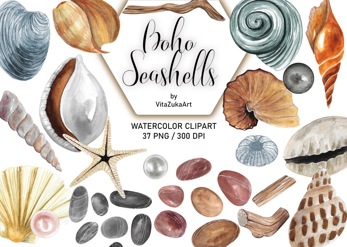 Watercolor Seashells Clipart, Seashell Clipart Set, Summer Seashell PNG ...