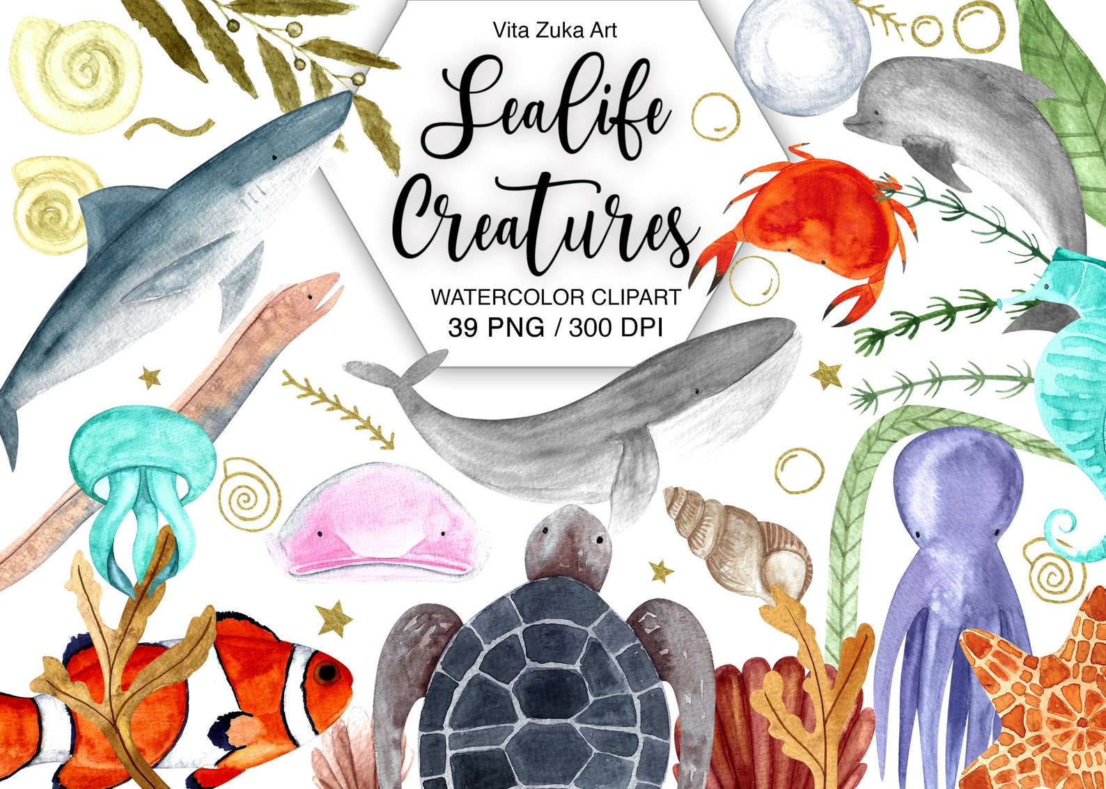 Sea Life Clipart Set Ocean Clipart Watercolor Sea Creatures - Etsy