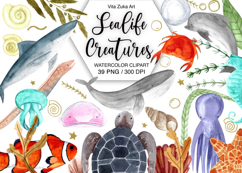 Sea Life Clipart Set Ocean Clipart Watercolor Sea Creatures - Etsy