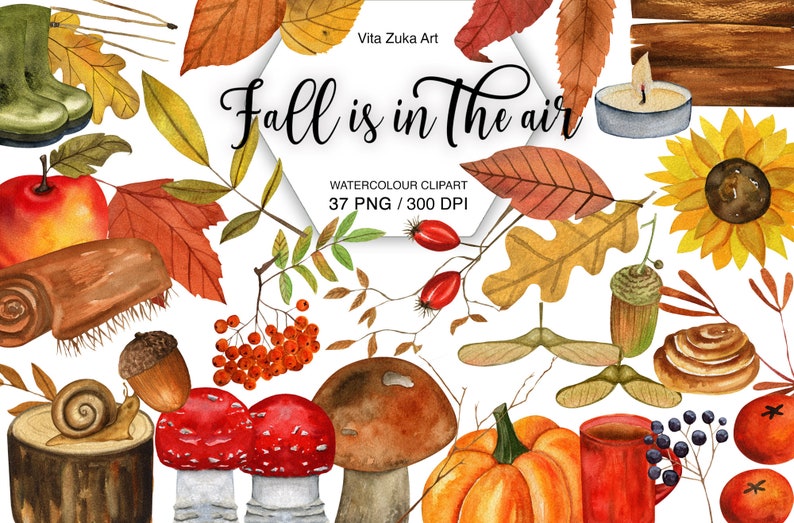 Watercolor Autumn Clipart Fall PNG Set Autumn Clipart - Etsy