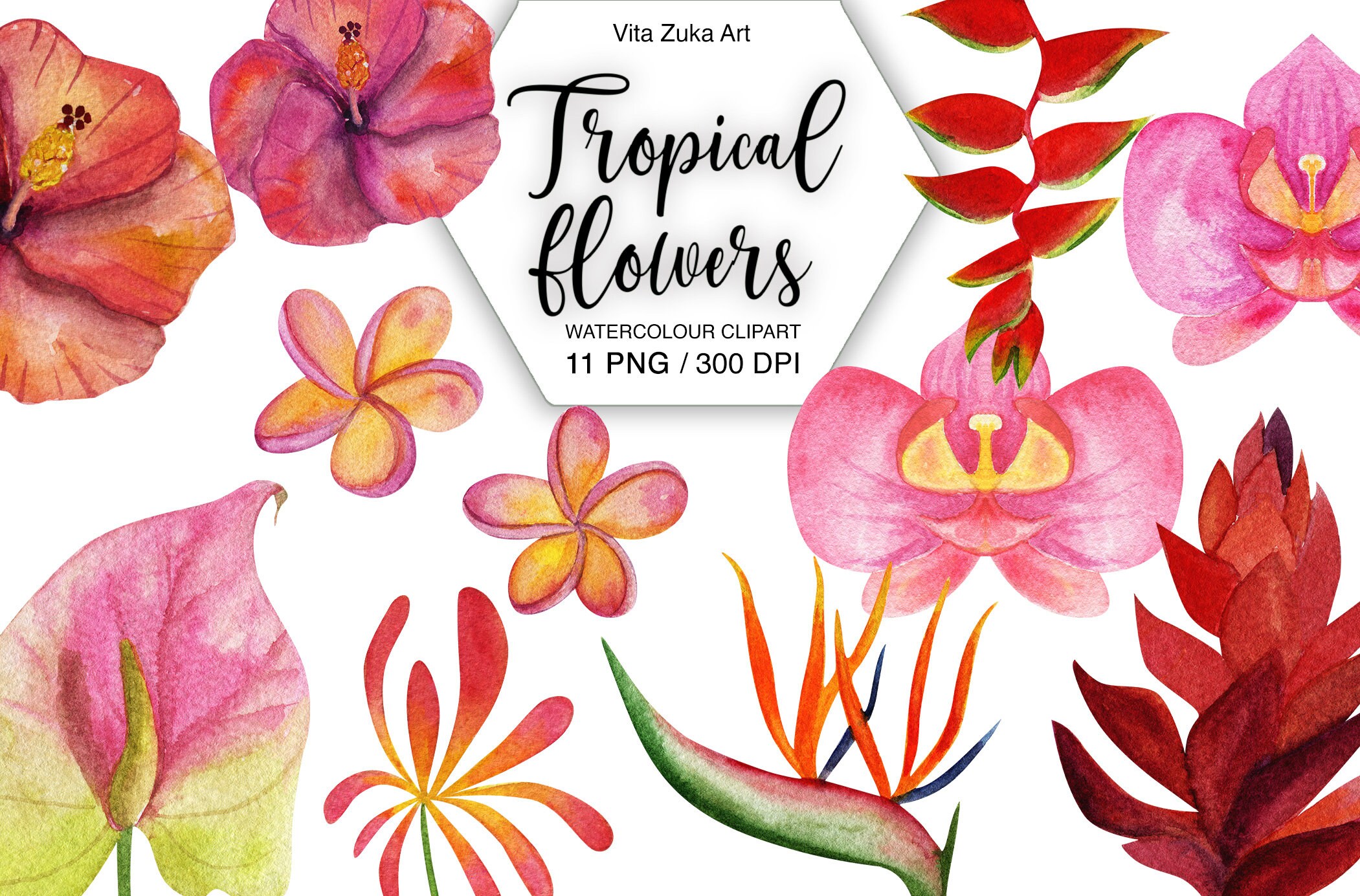 Watercolor Tropical Flowers Clipart, Jungle Flowers PNG Set, Exotic ...