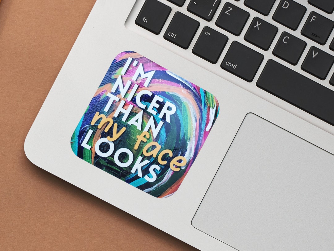 I'm Nicer Than My Face Looks RBF Funny Vinyl Sticker Decal - Etsy