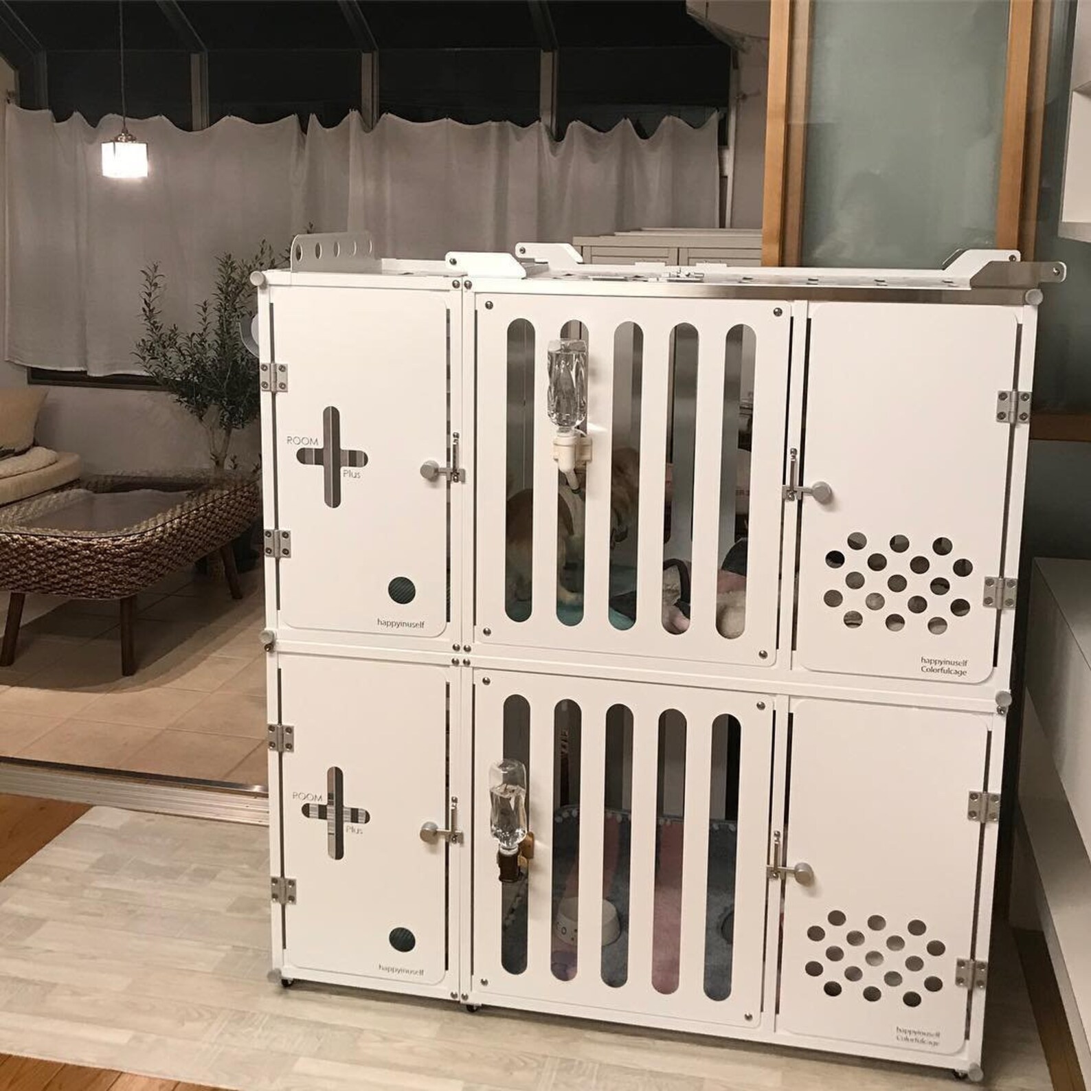 Modern Dog Room CE126 Biancabianca/kuro /indoor/ Dog House/ - Etsy