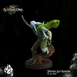 Elf Ranger Miniature Taegen the Rotting One Crippled God Foundry D&D 5e ...