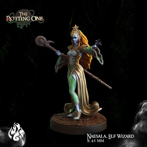 Elf Sorceress Miniature the Rotting One Crippled God Foundry D&D 5e ...