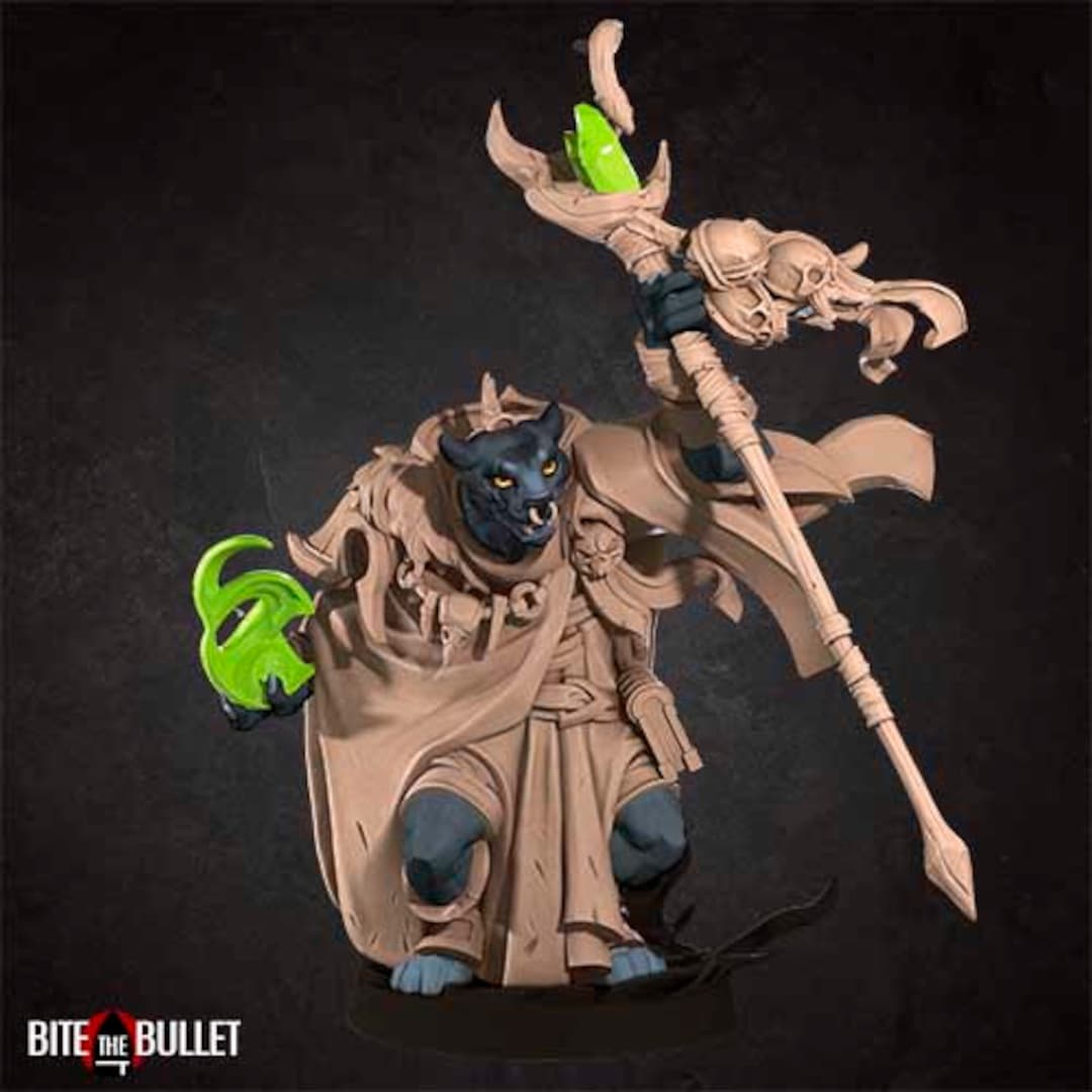 Warlock Tabaxi Miniature- Tabaxis- Bite the Bullet - D&D 5e - Dungeons ...