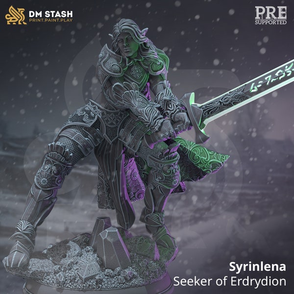 Half Elf Paladin Miniature - Etsy
