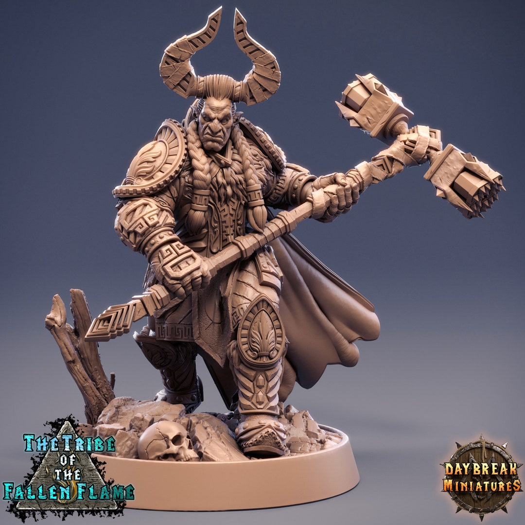 Gorden Shadowcaster Hobgoblin Miniature the Tribe of the Fallen Flame ...