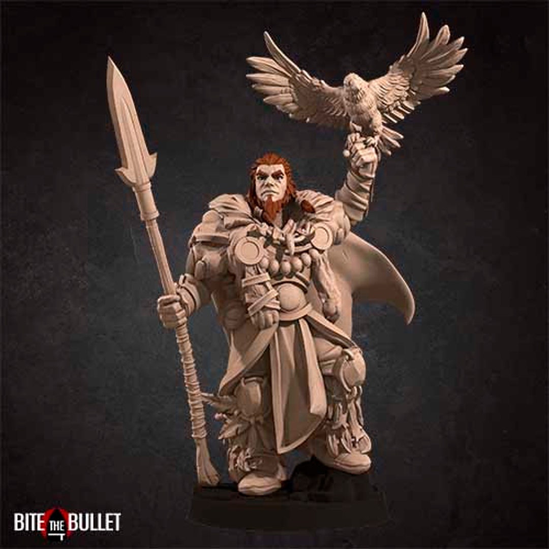 Druid Hero Heroes Bite the Bullet D&D 5e Dungeons and Dragons ...