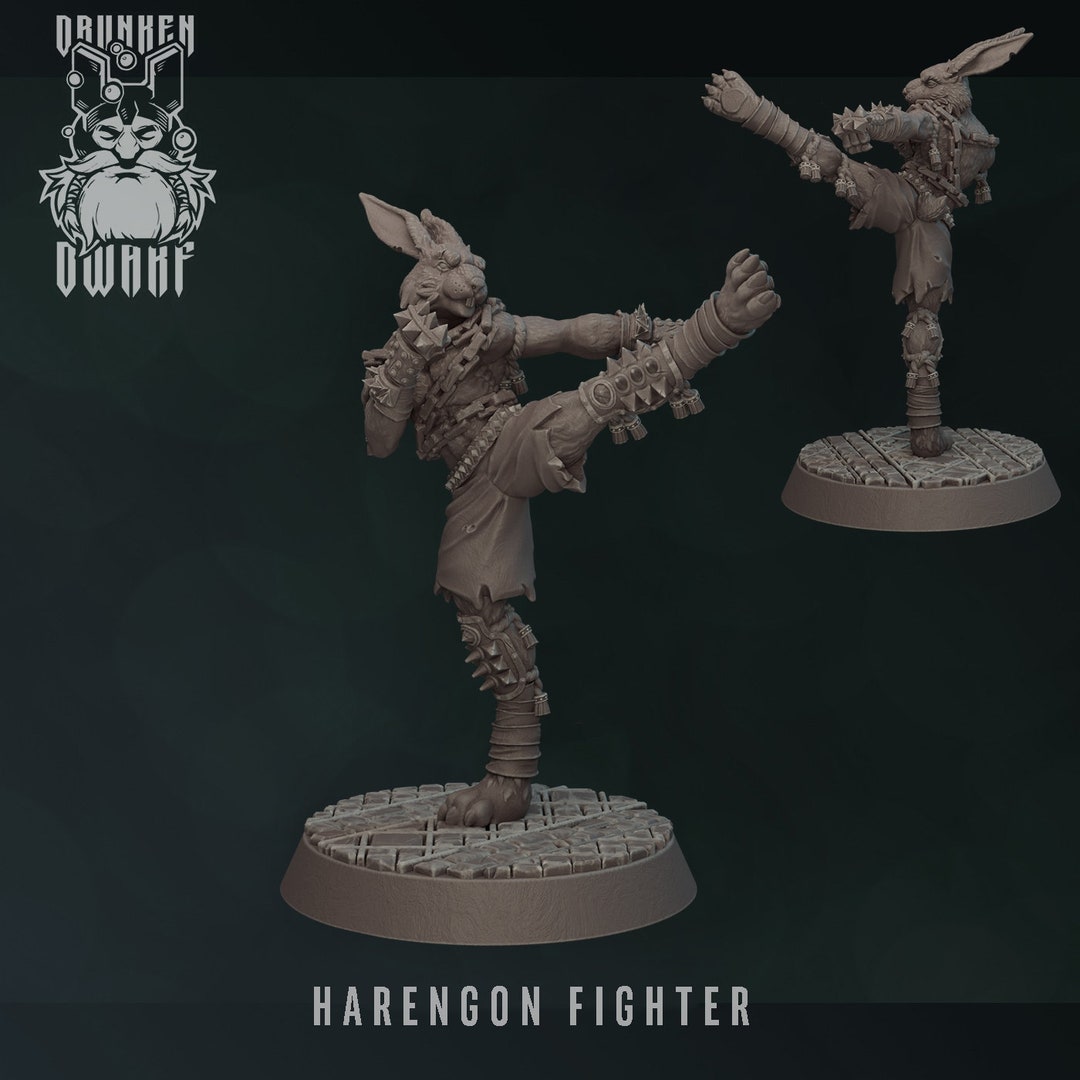 Harengon / Rabbitfolk Fighter / Monk Miniature - Drunken Dwarf- D&D 5e ...