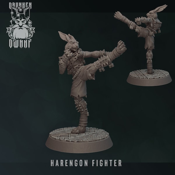 Harengon Monk Dnd 5e Miniature - Etsy UK