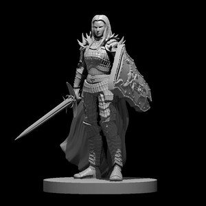 Fallen Paladin Miniature Male or Female MZ4250 D&D 5e Dungeons and ...