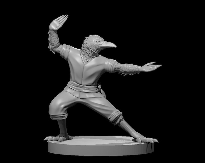 Dragonborn Monk Mini DND Pathfinder Dungeons & Dragons RPG Tabletop ...