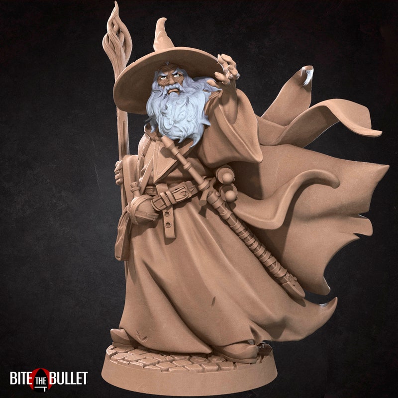 Human Half Dragon Wizard - Etsy