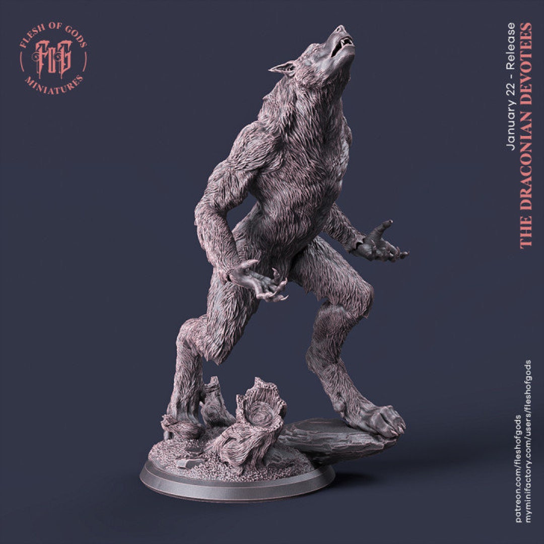 Werewolf Miniature Medium Humanoid Flesh of Gods D&D 5e Dungeons and ...