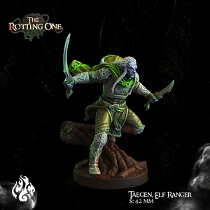 Elf Ranger Miniature Taegen the Rotting One Crippled God Foundry D&D 5e ...