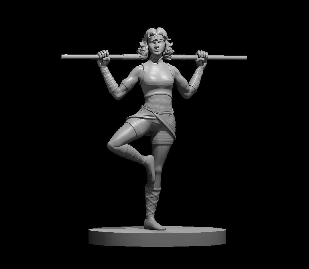 Human Female Monk Miniature Mz4250 Dandd 5e Dungeons And Dragons Fantasy Rpg Tabletop Games