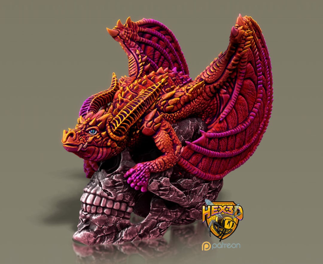 Dragon and Skull Bust D&D 5e Dungeons and Dragons Tabletop Fantasy RPG ...