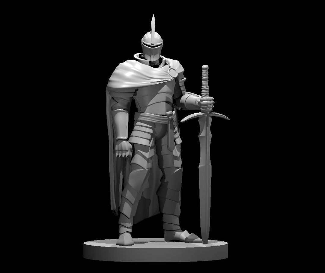 Paladin / Fighter Miniature - Male or Female - MZ4250 - D&D 5e ...