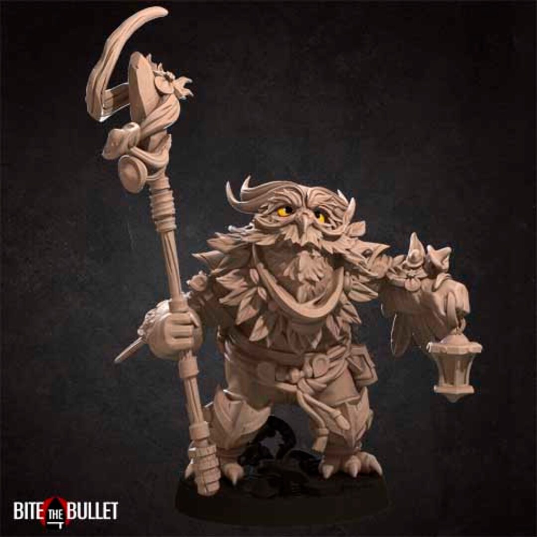 Druid- Owlfolk- Bite the Bullet - D&D 5e - Dungeons and Dragons ...
