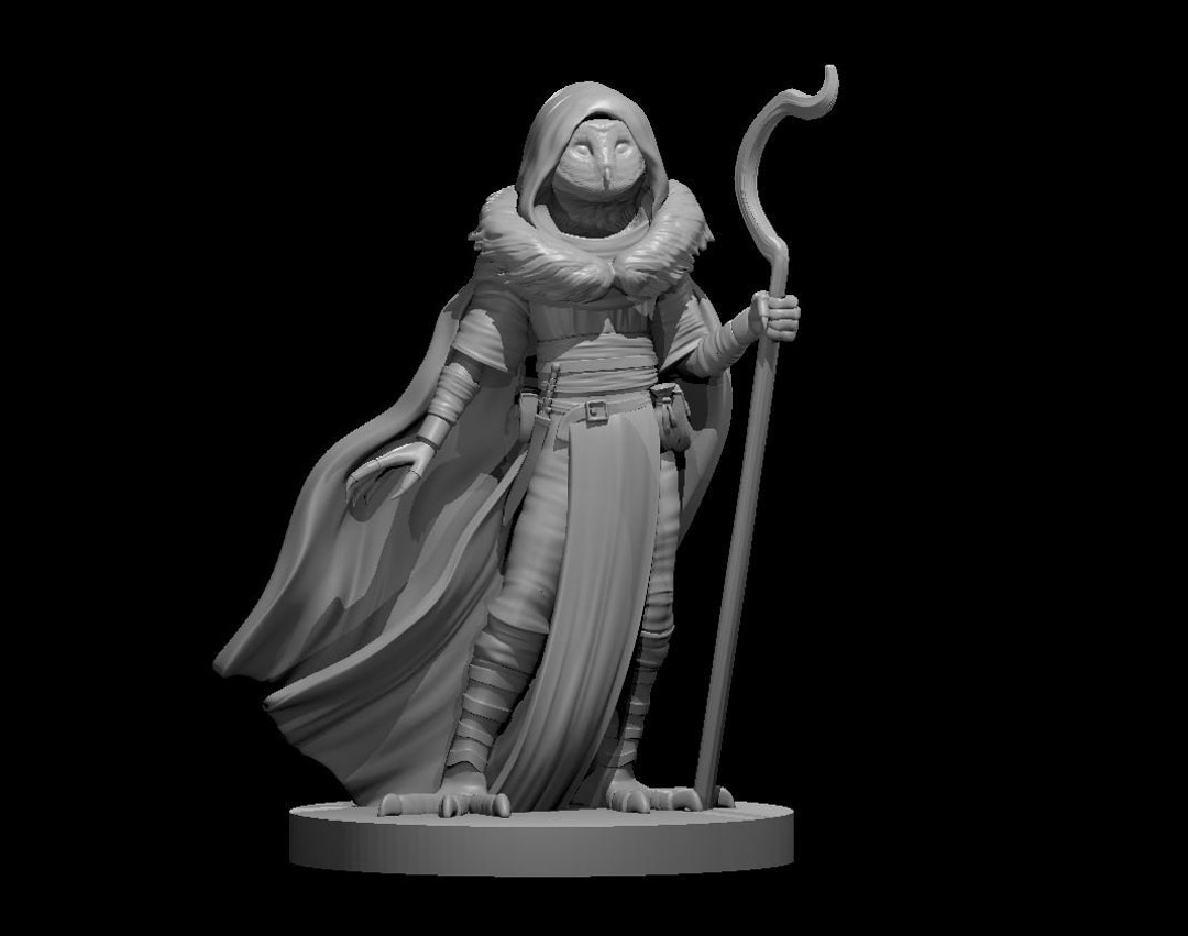 Owlfolk / Owlin Miniature - MZ4250 - D&D 5e - Dungeons and Dragons ...