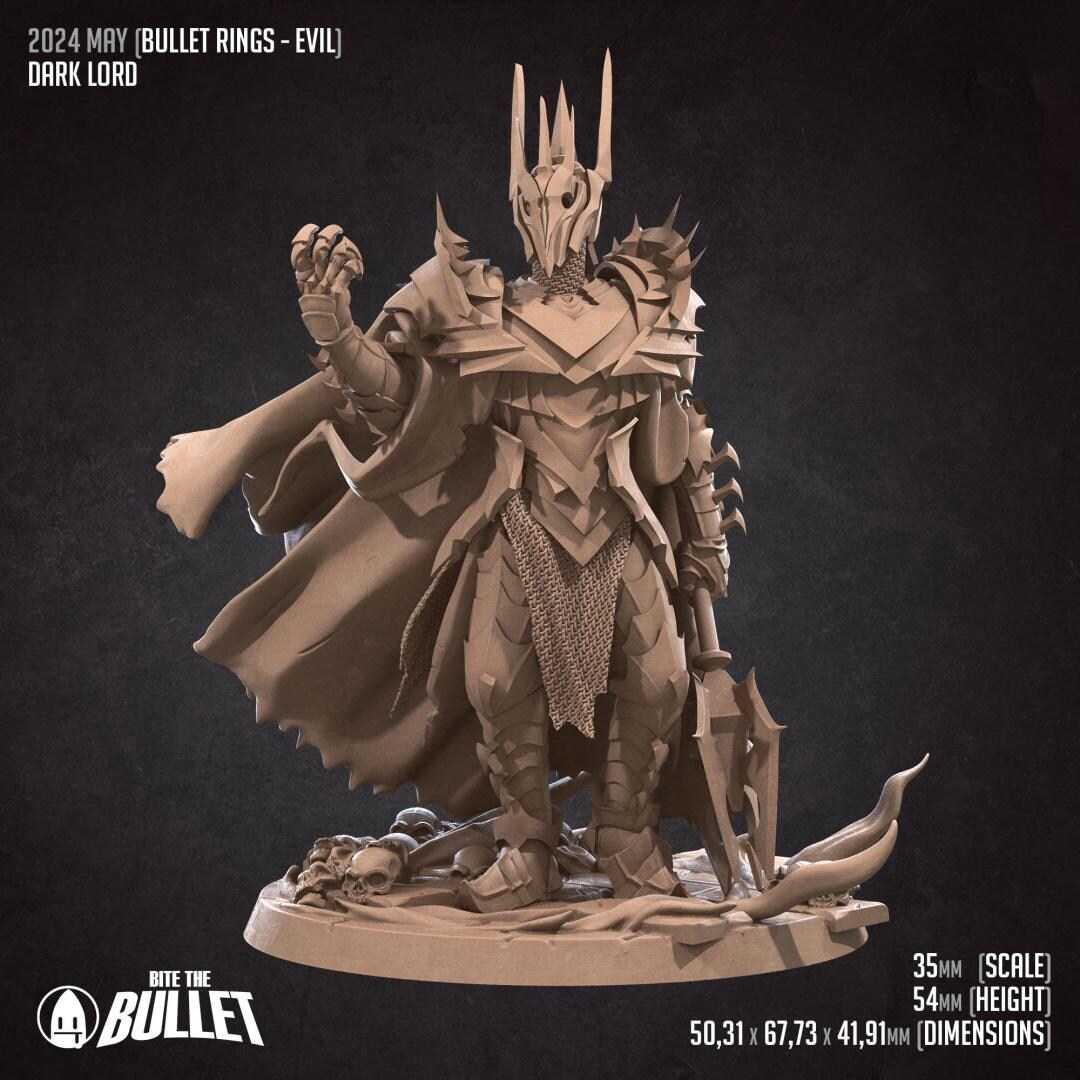 Dark Lord (paladin) Miniature- Bullet Rings:evil- Bite the Bullet - D&D ...
