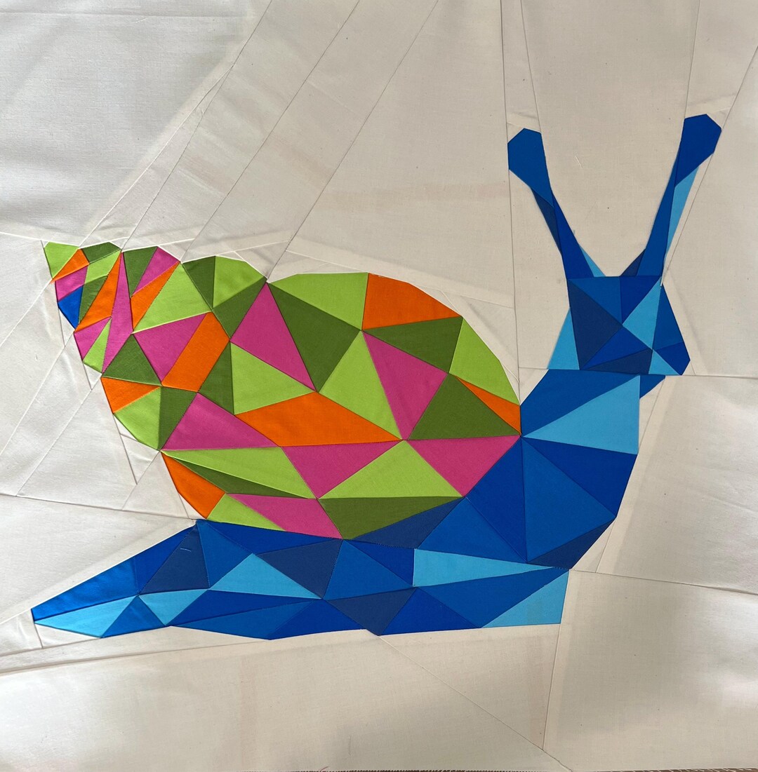 Geometric Snail Foundation Paper Pieced Quilt Pattern Block From the ...