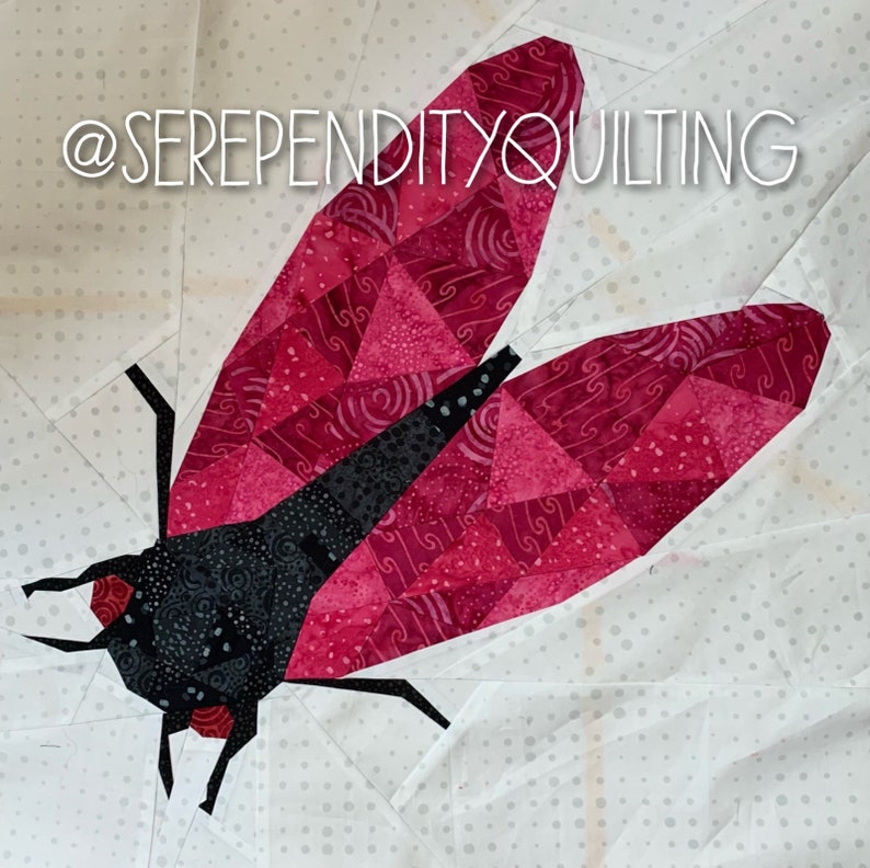 Geometric Cicada Insect Foundation Paper Pieced Quilt Pattern | Etsy