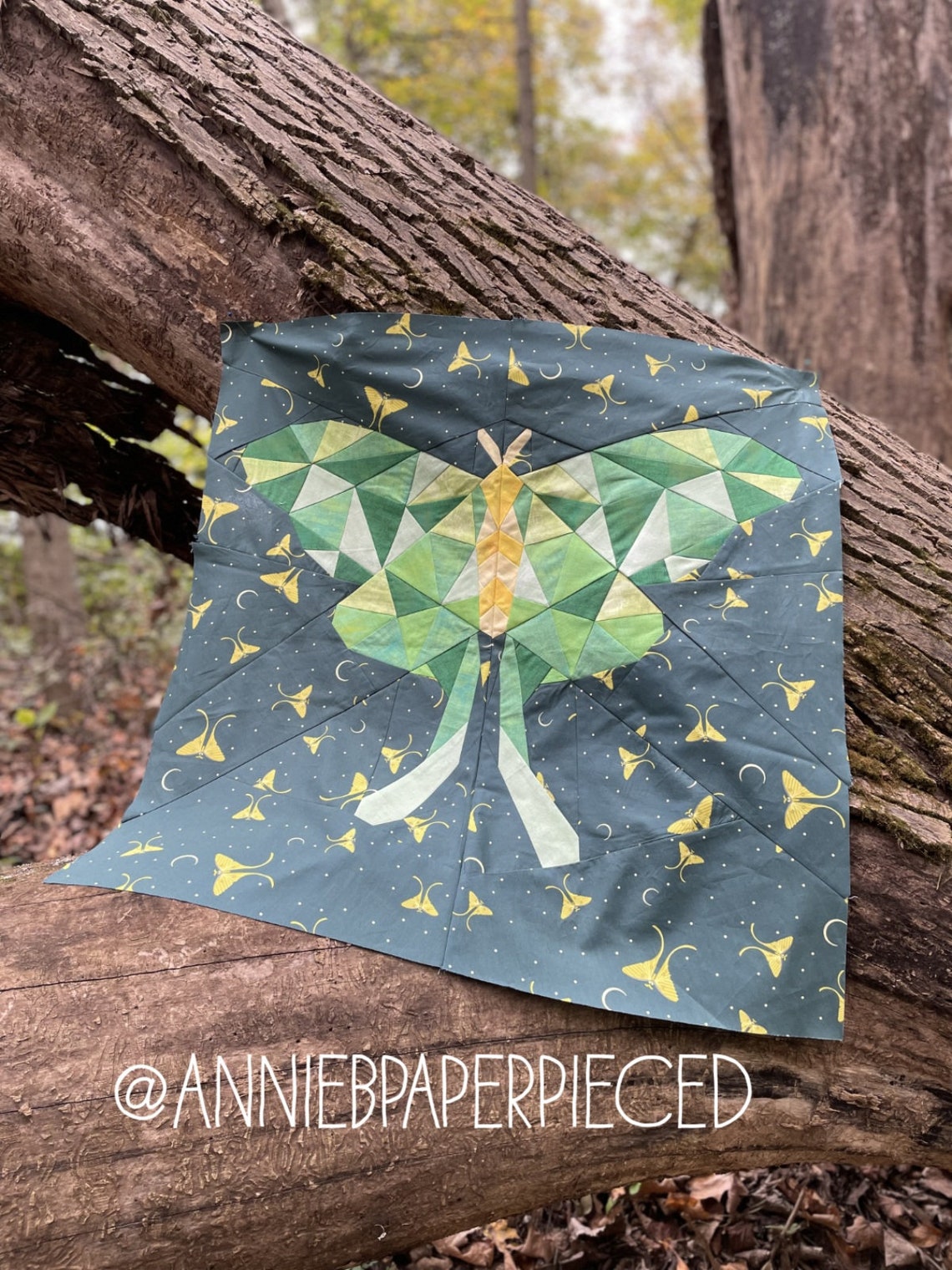 Geometric Luna Moth Foundation Paper Pieced Quilt Pattern - Etsy