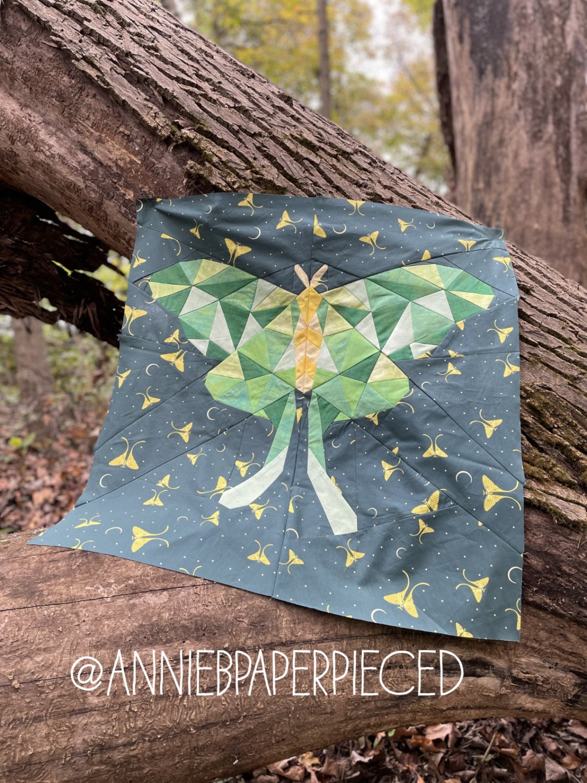 Geometric Luna Moth Foundation Paper Pieced Quilt Pattern Block From ...