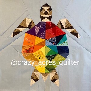Geometric Sea Turtle Foundation Paper Pieced Quilt Pattern Block From ...