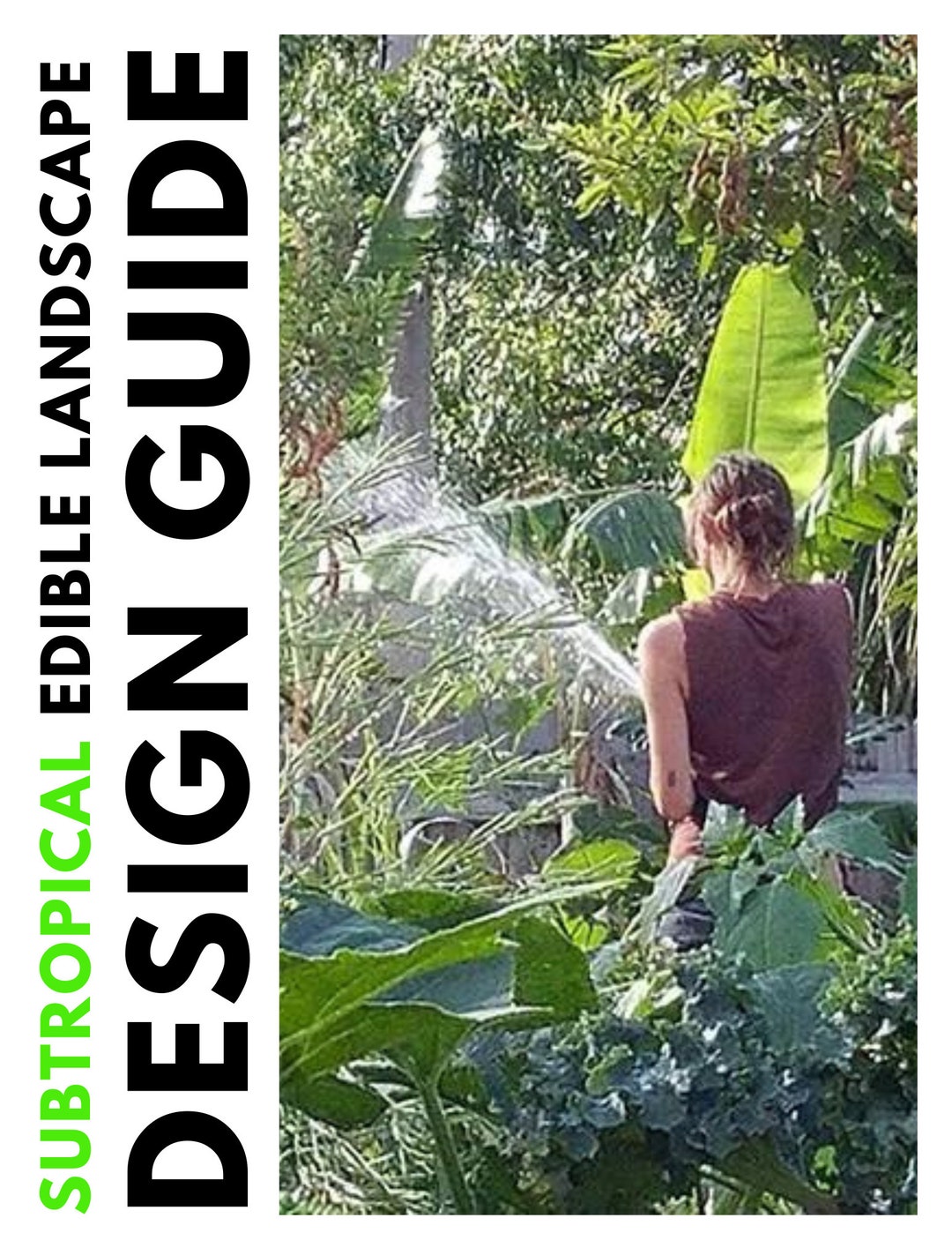 Subtropical Edible Landscape Design Guide Permaculture Organic ...
