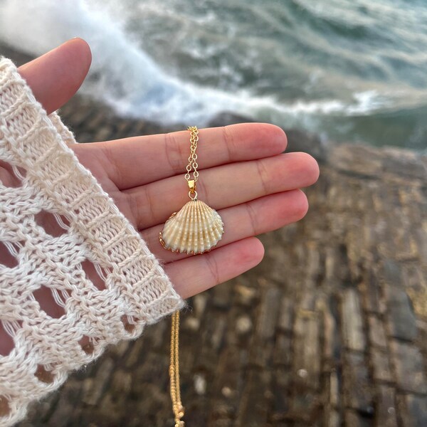 Gold Seashell - Etsy