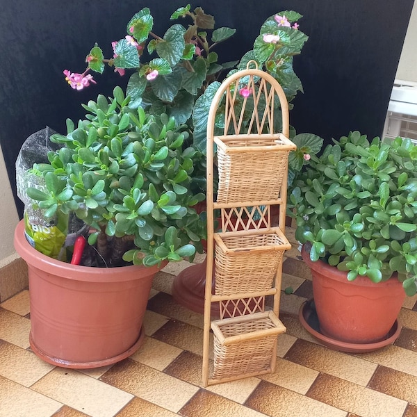 Wicker Letter Holder - Etsy