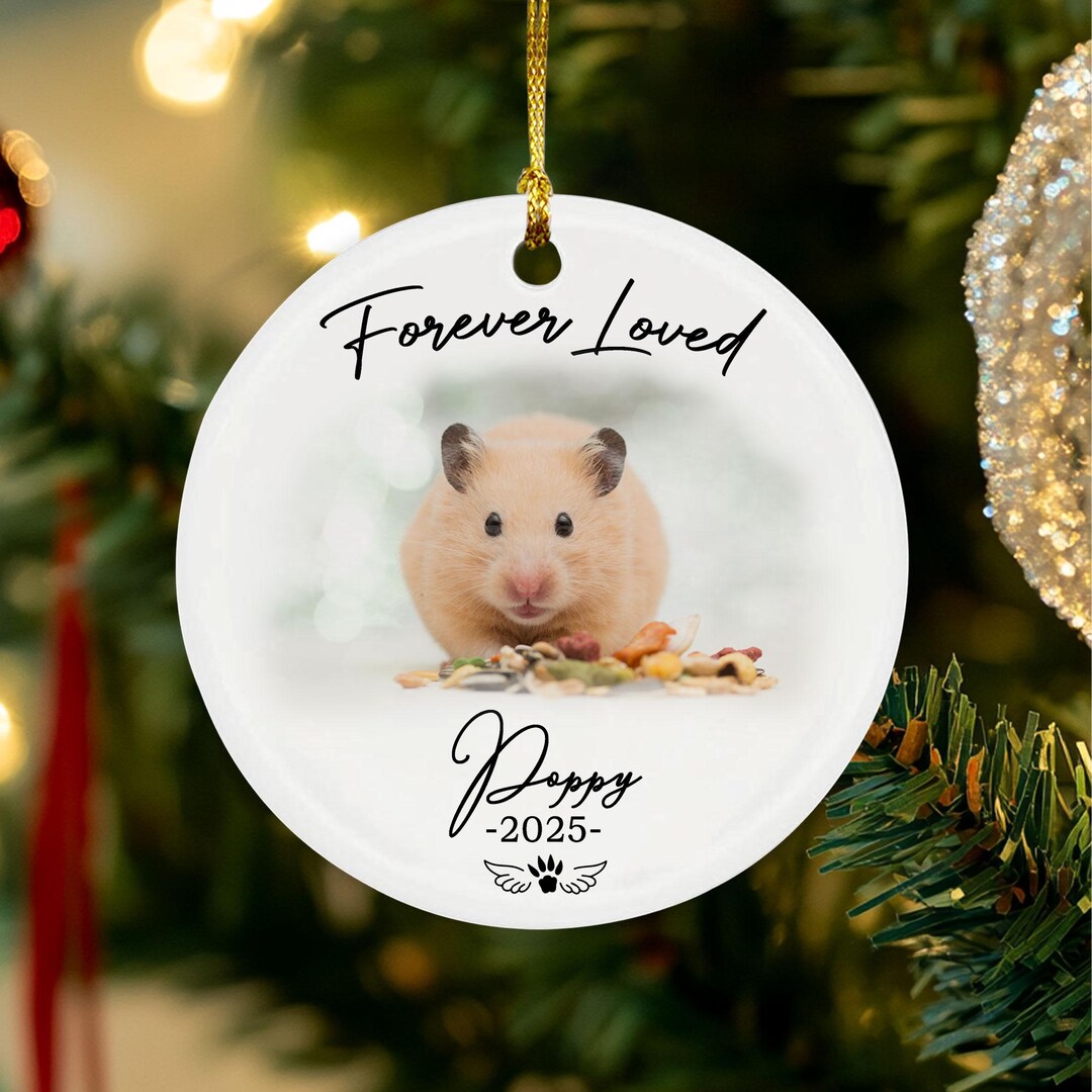 Personalized Hamster Photo Christmas Ornaments, Hamster Portrait Gift ...