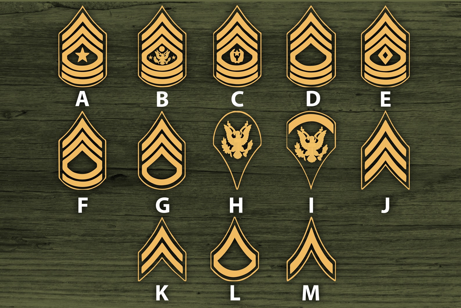 Custom Name Army Insignia Rank US PosterPersonalized US | Etsy