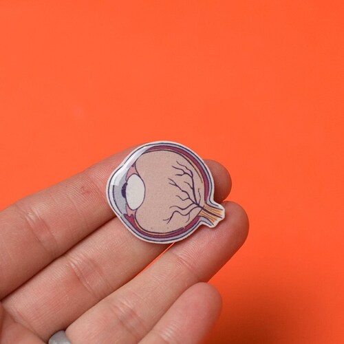Eye Anatomy Pin Eye Brooch Optometry Gift Optometrist Eye - Etsy