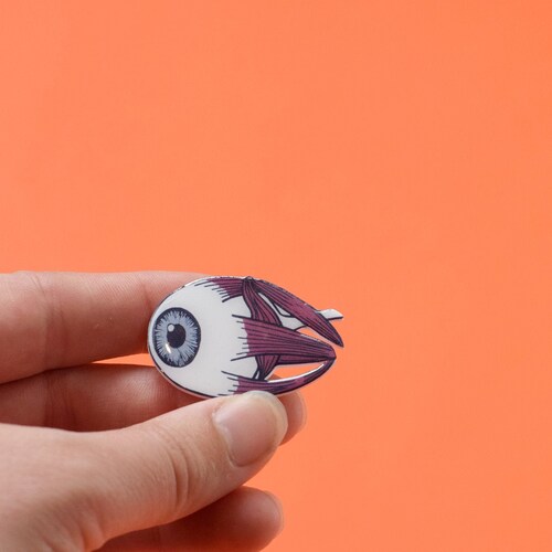 Eye Anatomy Pin Eye Brooch Optometry Gift Optometrist Eye - Etsy