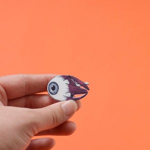 Eye Anatomy Pin, Brooch, Optometry Gift, Optometrist, Eye Dr Gift, Eye ...