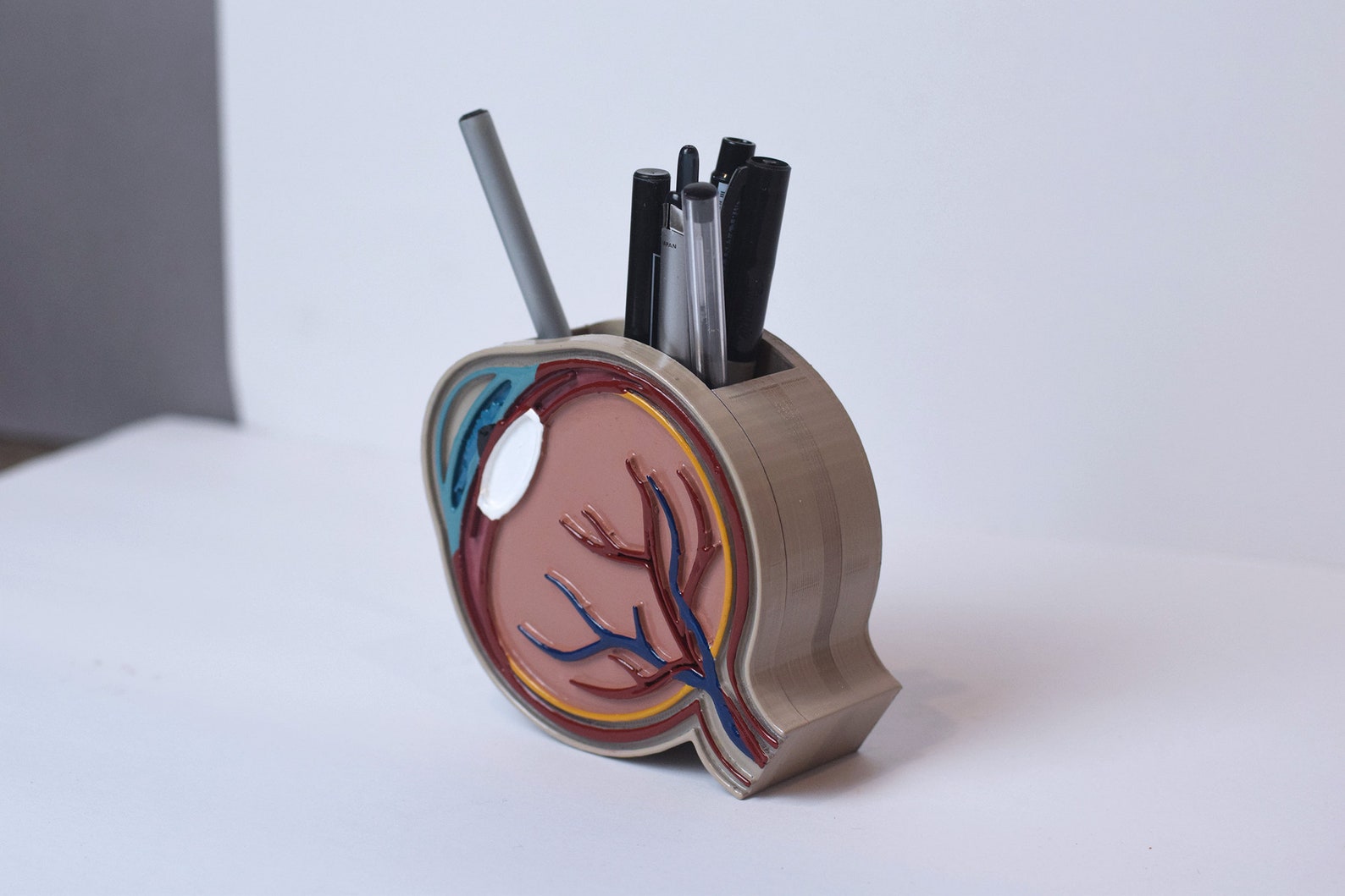 Anatomical Eye Pen Holder Optometry Gift Optometrist Eye - Etsy